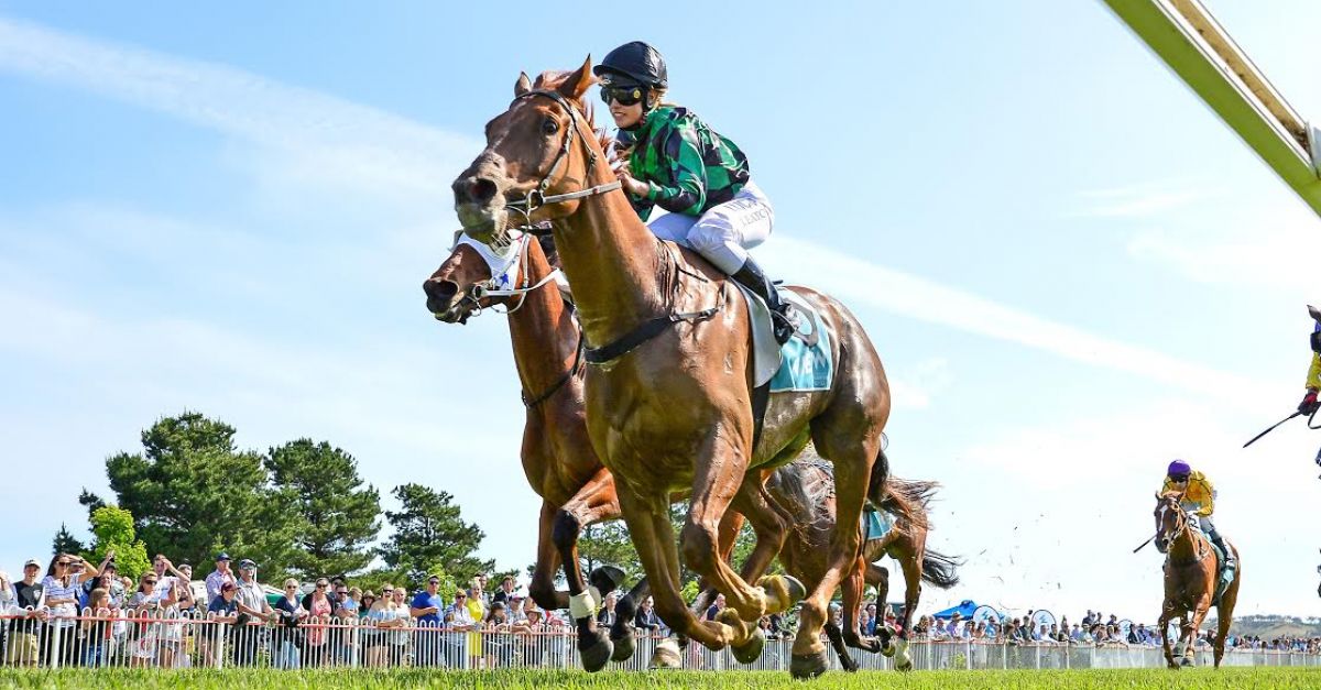 Jess Eaton - Galloping Towards Success. - Peter Horobin Saddlery