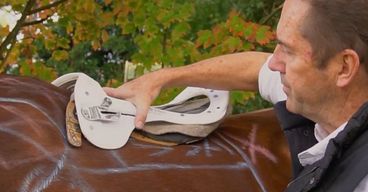 THE STRIDEFREE® TREE - Peter Horobin Saddlery