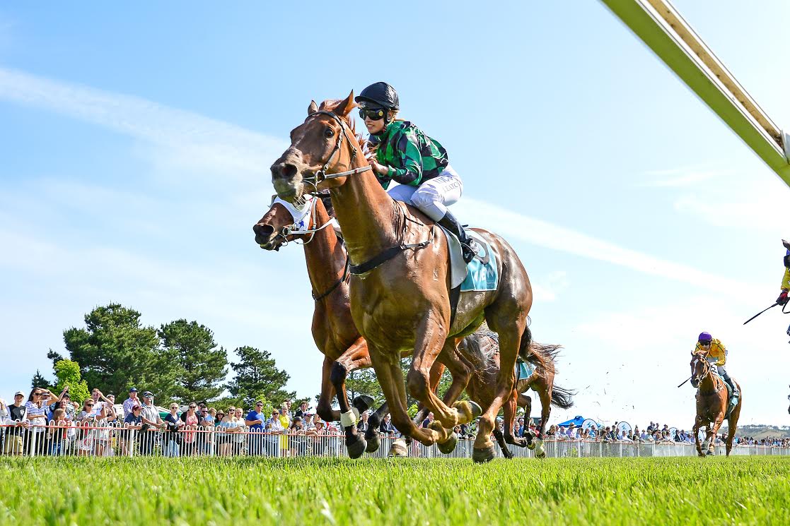 Jess Eaton - Galloping Towards Success. – Peter Horobin Saddlery